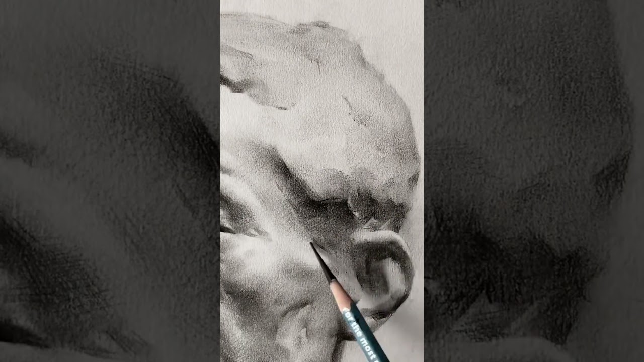 Classical Charcoal Portrait by @lll5266lll – Timeless Form & Light