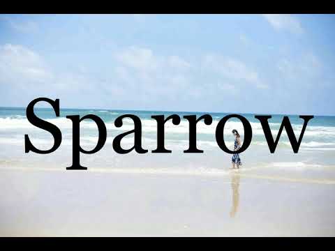 How To Pronounce Sparrow🌈🌈🌈🌈🌈🌈Pronunciation Of Sparrow