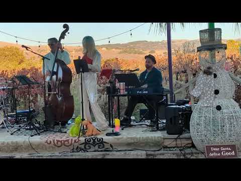 Dance the Night - Soft Lights Band Covers Dua Lipa at Satori Cellars Winery (12/8/2024)
