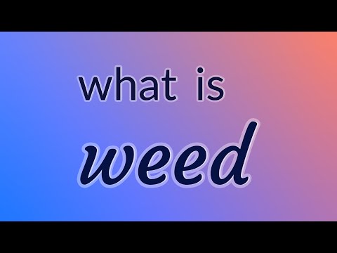 Weed - 162 English Vocabulary Flashcards