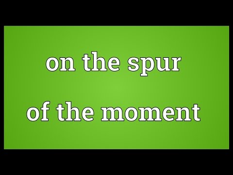 On the spur of the moment Meaning