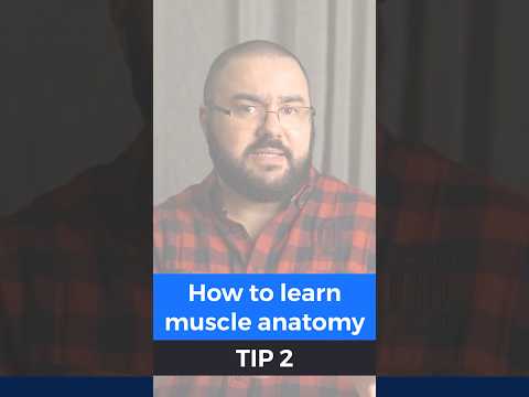 How to learn muscle anatomy - tip 2 #anatomy