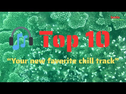 Your new favorite chill track