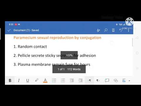 Paramecium conjugation easy ||Protista| Cilliophora| Miller Harley