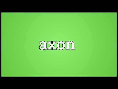 Axon Meaning