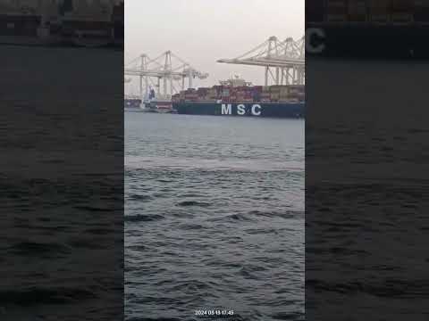 What is MSC full form #ashortaday #lifeatsea #trendingshorts #merchantnavy
