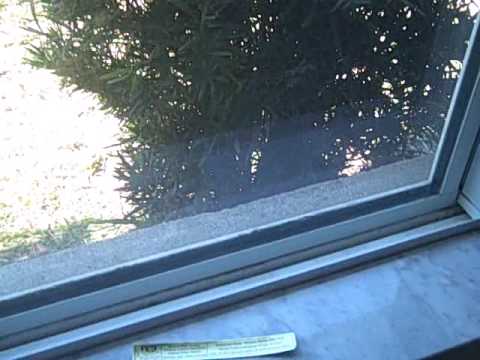 PGT Windows in Cape Coral
