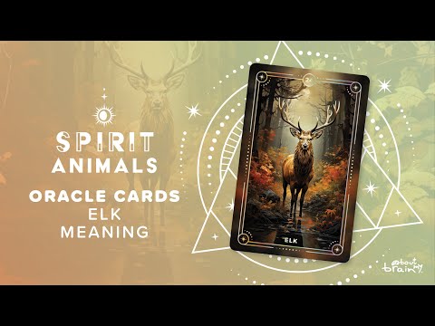 Elk Spirit Animal | Symbolism & Meaning Explained