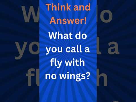 What do you call a fly with no wings?