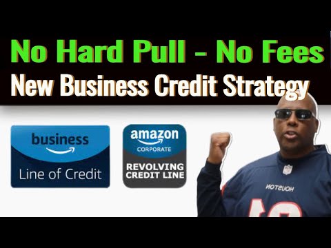 Amazon Business Account Reviews: How To Get $25k Amazon Business Line of Credit Bad Credit?