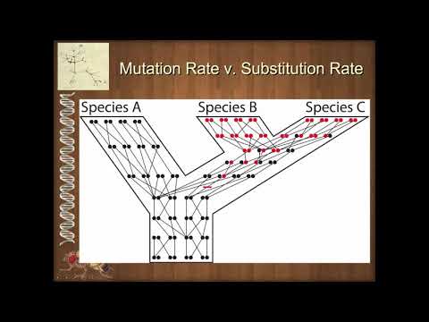 BIOL 6330 Unit 1 5 1 DNA Sequence and Mutations