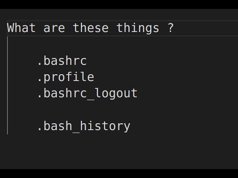 What are "bash" files