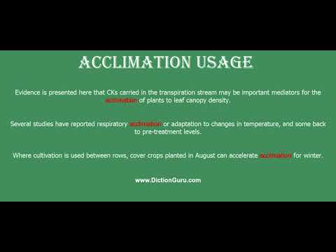 acclimation: How to pronounce acclimation with Phonetic and Examples