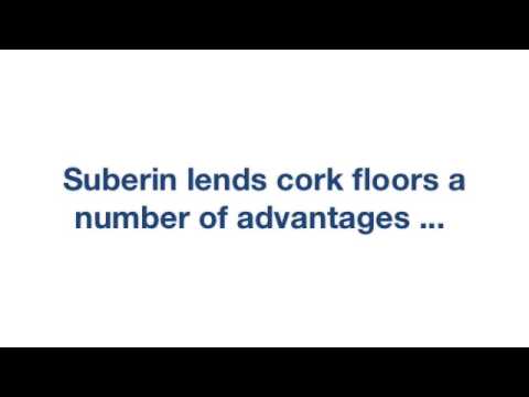 Wood Flooring Glossary Series: Cork Flooring Suberin