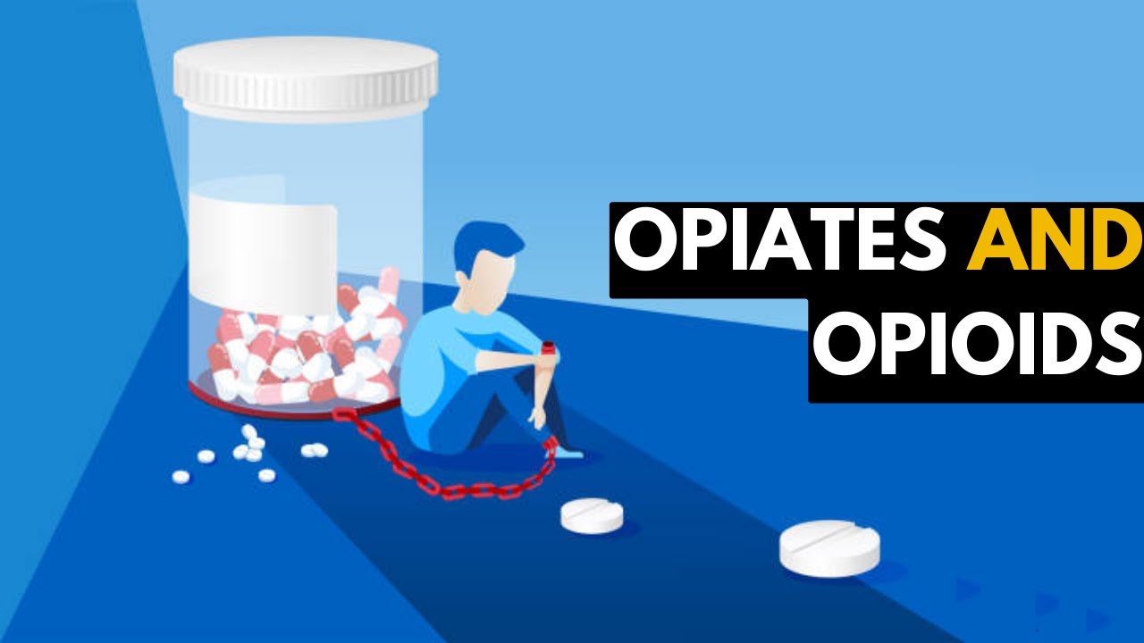 Opiates and Opioids: The Dangerous Reality of Prescription Drugs