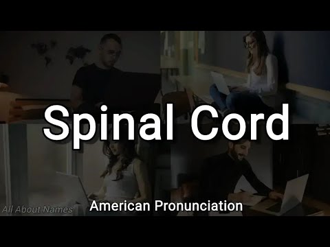 Spinal Cord: American Pronunciation, Meaning, and Usage in Sentences
