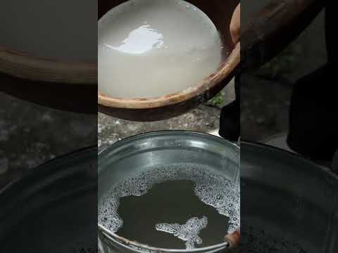 The ancient Indians living in what is now Peru were the first to make potato starch