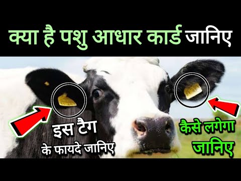 Complete details of animal aadhar card