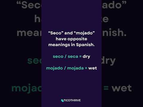 Seco vs. Mojado (Opposite Meaning) - COSTA RICAN SPANISH #españolcostarica #costarica #spanish