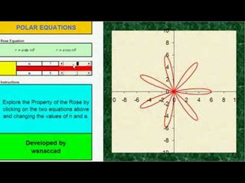Rose (Polar Coordinates) | ExperiBiz