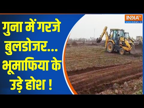 Guna illegal Encroachment: गुना में गरजे बुलडोजर...भूमाफिया के उड़े होश ! | Buldozer Action | MP