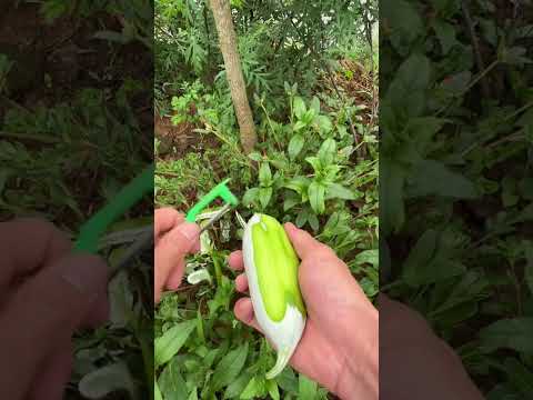 ST 5732044209 mini rotary tillage and ridging all-in one tree ridging all-in one tree