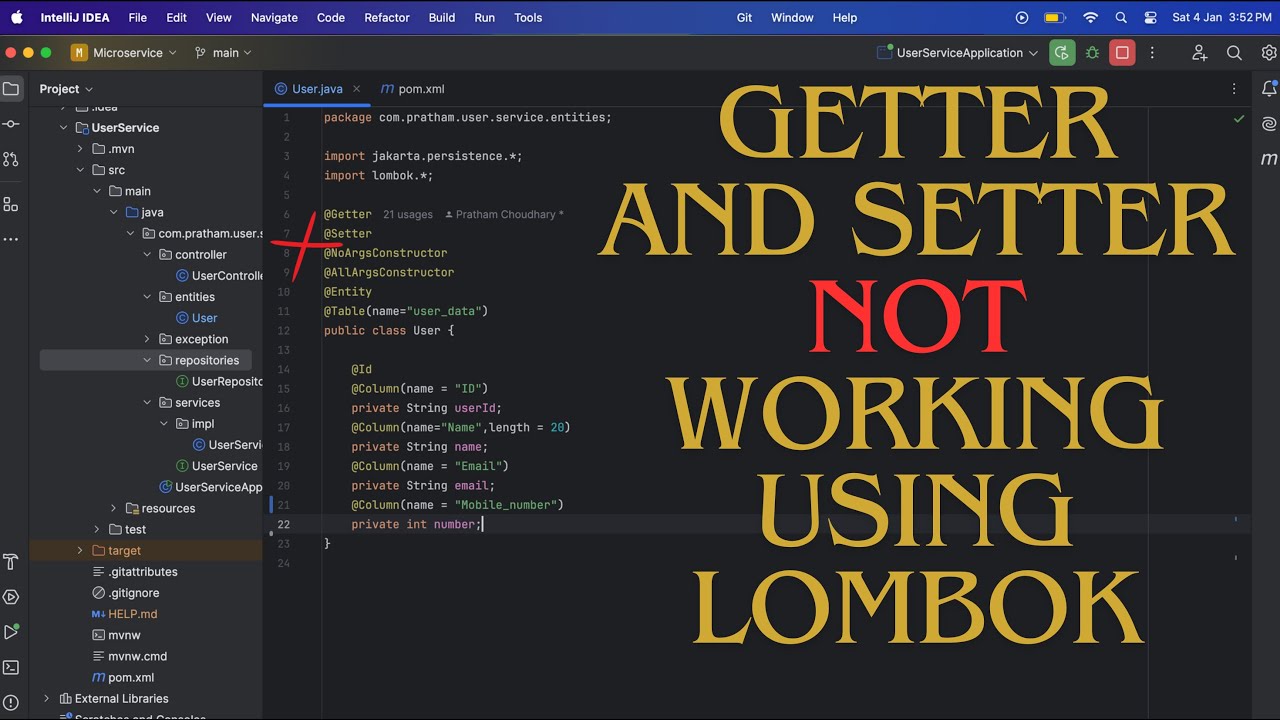 Lombok not working in intellij | Getter and Setter are not Working in Springboot Intellij