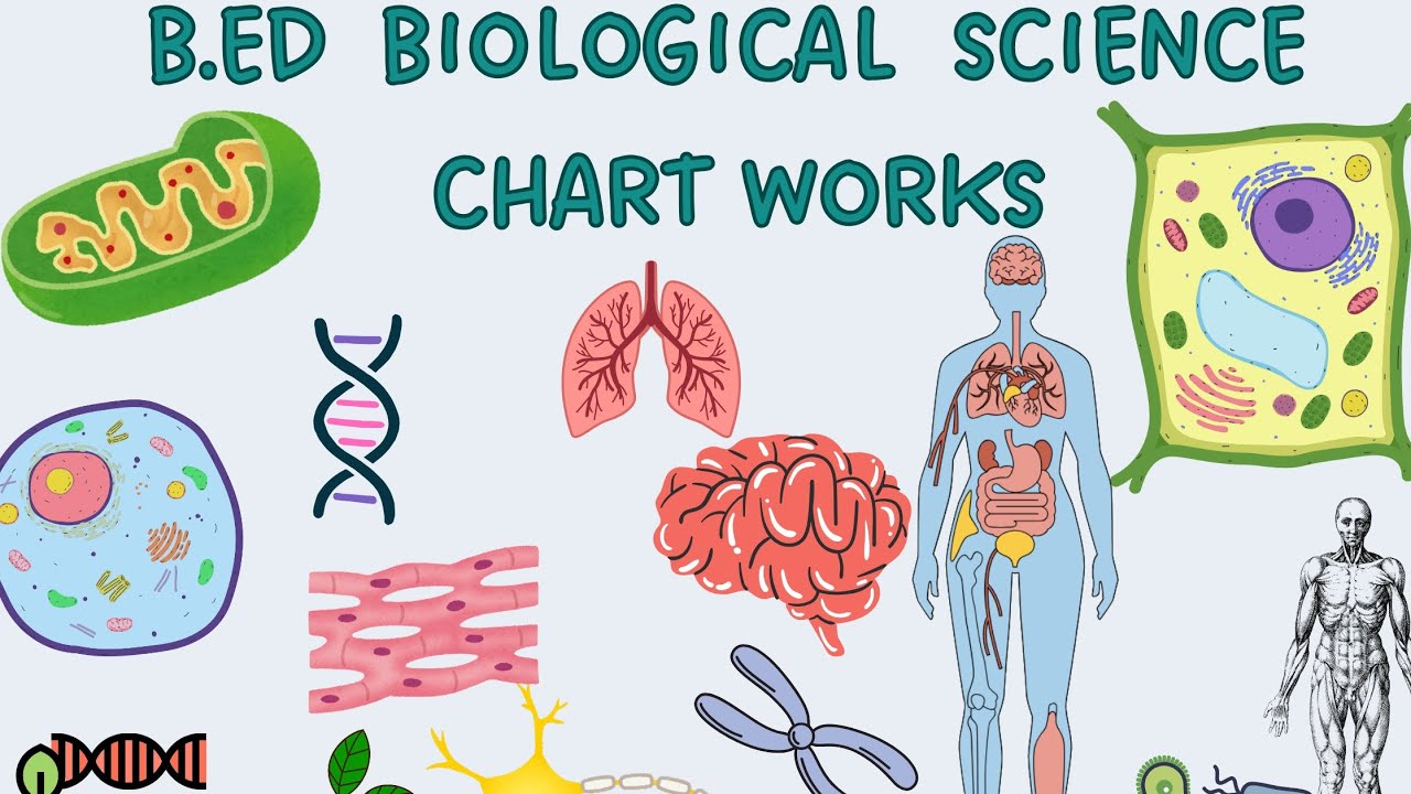 Biology charts for B.Ed | B.Ed teaching aids 