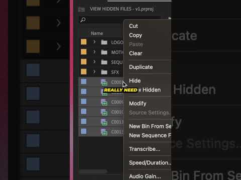 This ORGANIZATION TIP Saves Me SO MANY HEADACHES! (PREMIERE PRO TUTORIAL)