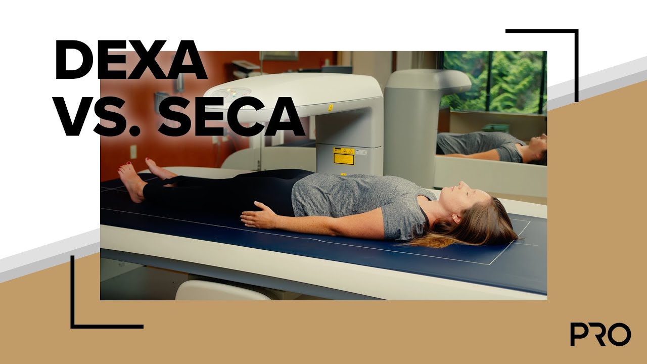 What's the difference between a DEXA scan and SECA scan?