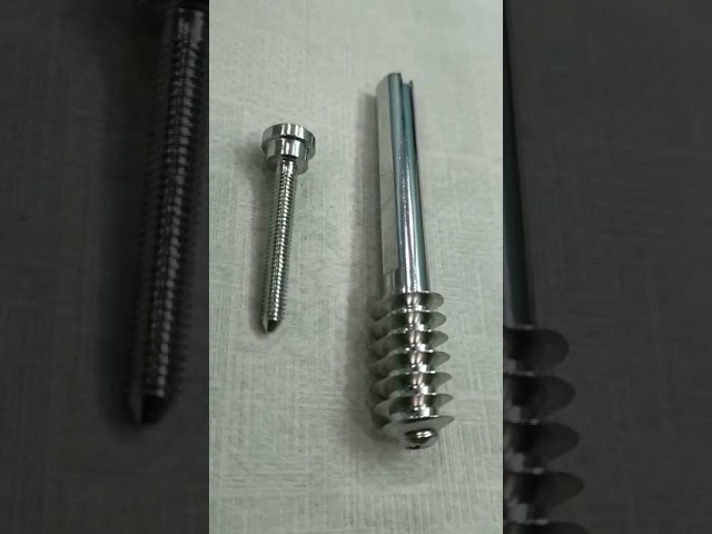 Hip Prosthesis Instruments - Rasp for Bipolar Manufacturer from New Delhi