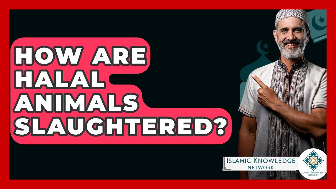 How Are Halal Animals Slaughtered? - Islamic Knowledge Network
