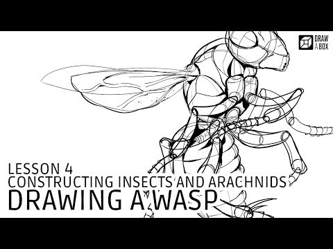 Drawabox Lesson 4: Drawing a Wasp