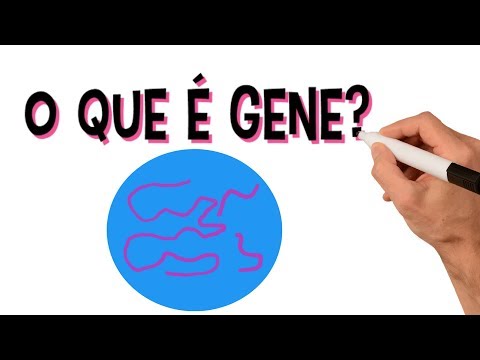 O que é o GENE? Como funciona e quais as suas funções - Vídeo animado