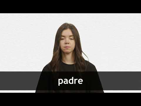 English Translation of “PADRE” | Collins Spanish-English Dictionary