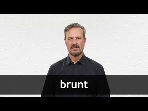 How to pronounce BRUNT in American English