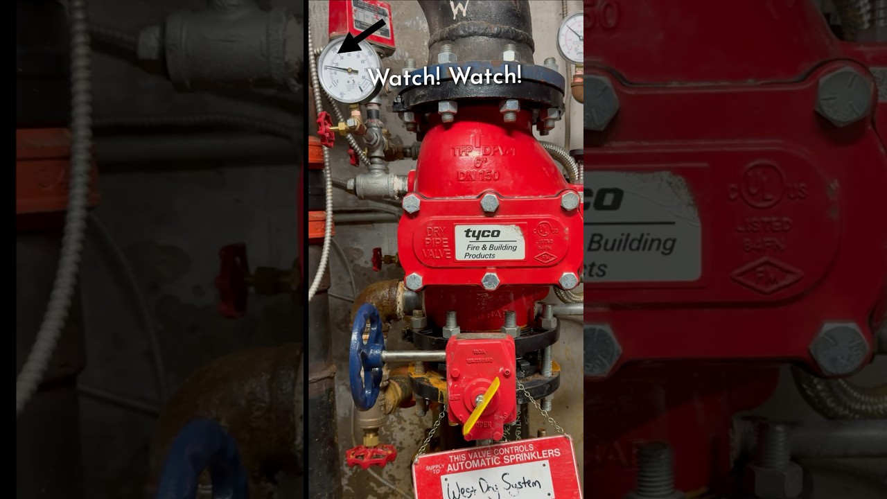 Revealing a Tripped Dry System #shorts