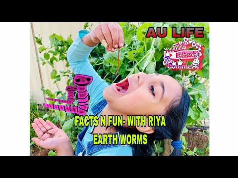 WORMS learning for kids, FACTS AND FUN WITH RIYA