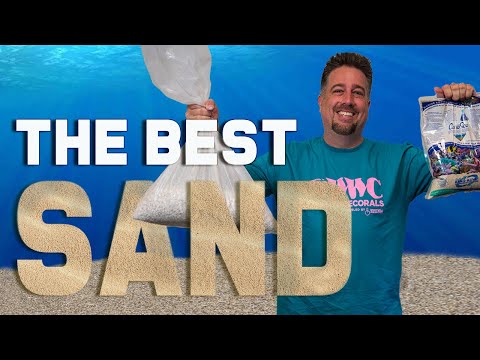 Choosing the best sand for your saltwater aquarium
