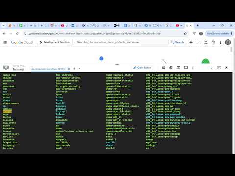gcloud terminal