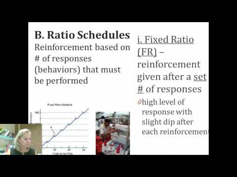 Schedules of Reinforcement AP Psychology Mathers