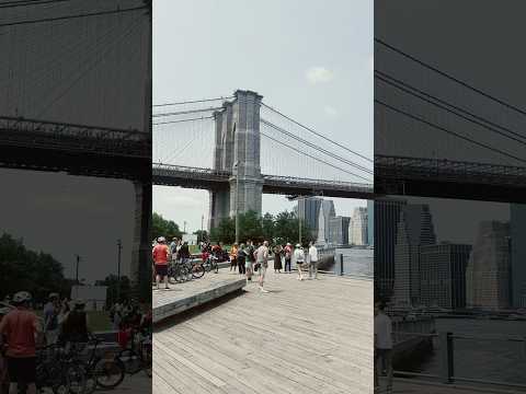 One of the best views in the world #brooklyn #newyork #nyc #usa #shorts #views #dumbo #city #skyline
