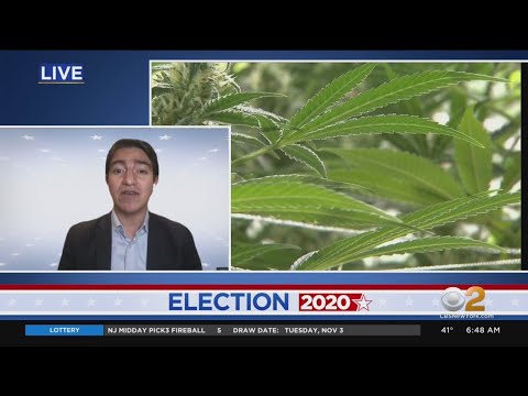 Election 2020: Political Expert On New Jersey Marijuana