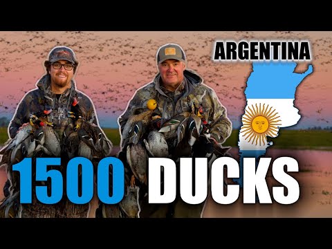4 Days. 1500 Ducks Down. Pt. 1
