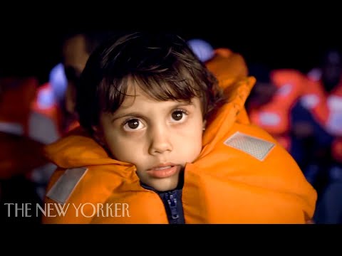 Lifeboat | 2019 Oscar Nominee | The Screening Room | The New Yorker