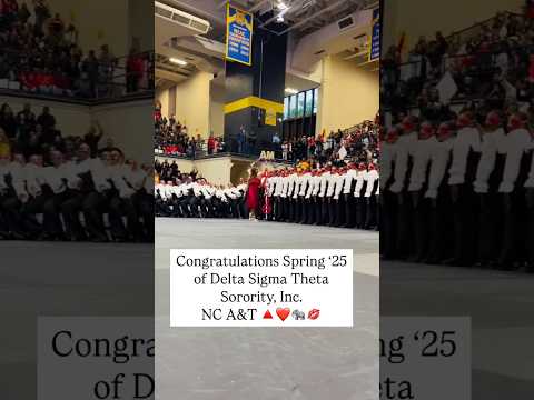 🔺🐘🔺🐘 The Alpha Mu chapter of Delta Sigma Theta 🐘🔺🐘🔺🖤❤️