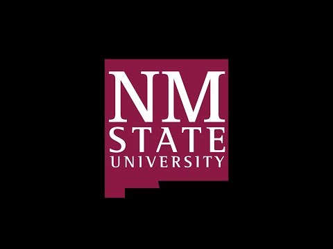 myNMSU - Degree Audit