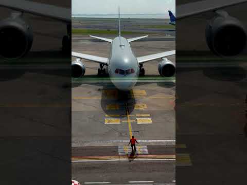 Marshalling a American Airlines Plane at Venice Airport Italy 🇮🇹 #venice #planespotting