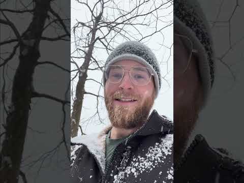 Why Tree Names Are So Confusing