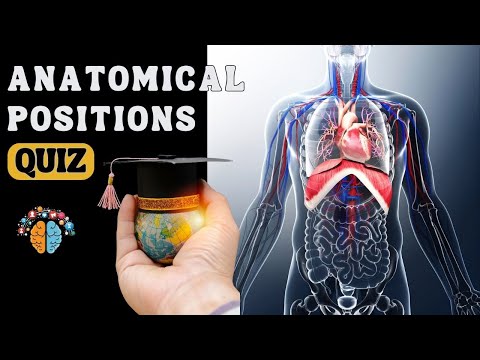 Master Anatomical Positions and Directional Terms in Minutes!  Quiz #1